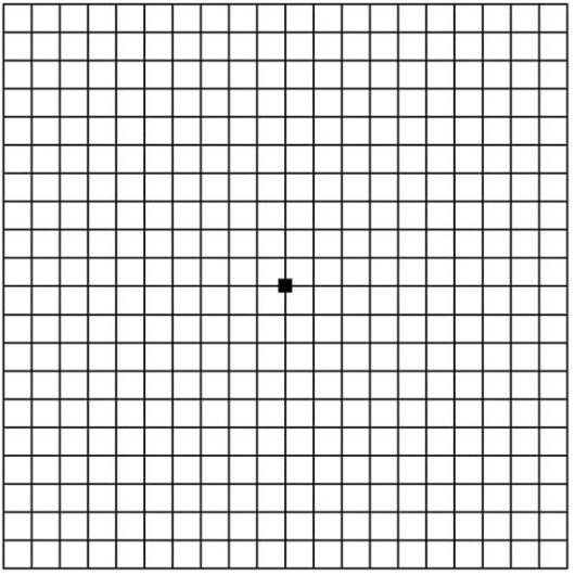 Amsler testkaart – macuaid.nl